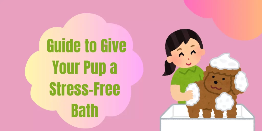 Dog Bathing Basics – Stress-Free Bath Tips for Your Pup